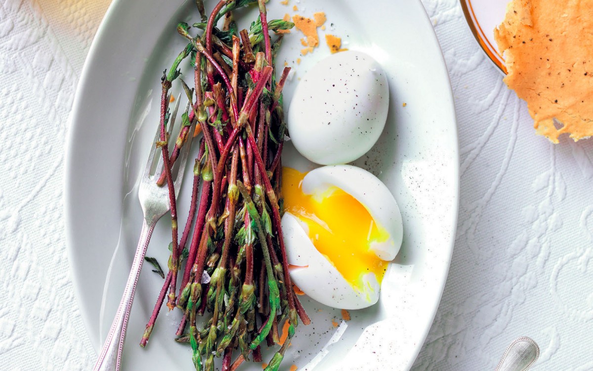 Soft-Boiled Egg, Lentil Wafers and Hop Sprouts Recipe - La Cucina Italiana